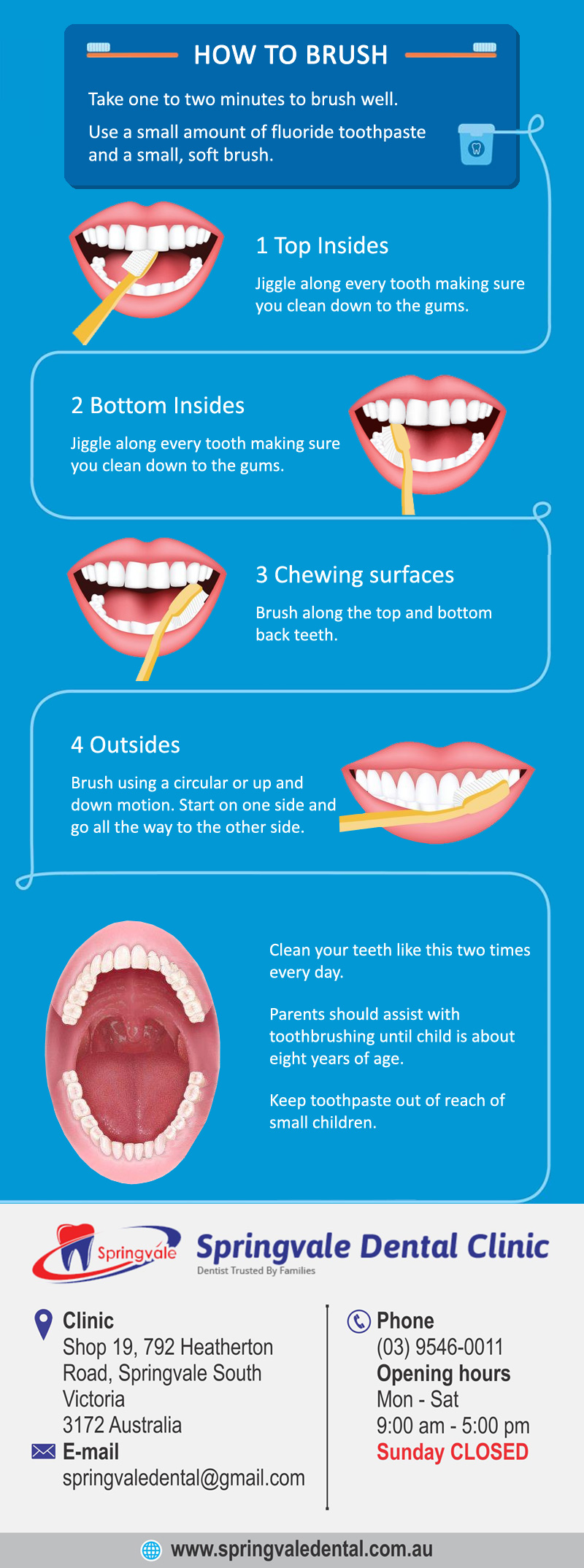 Learn How To Brush From Dental Infographics | Springvale Dental Clinic